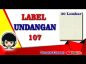Cara Membuat Label Undangan 107 Menggunakan Ms Word Terbaru | Seciko ID